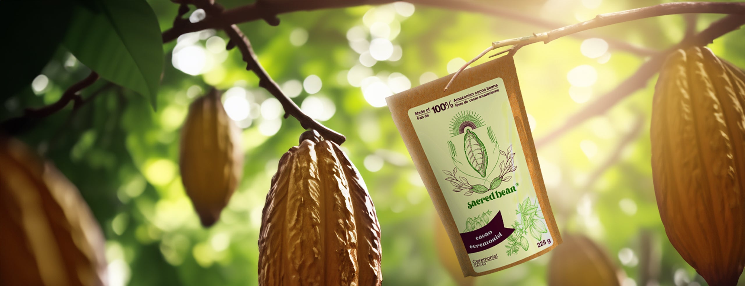 Premiun Criollo Fino de Aroma Ceremonial Cacao | Sacred Bean – Sacred bean
